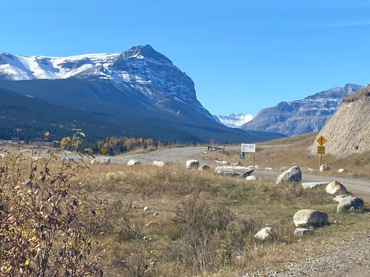 Bear attack in Banff National Park leaves two dead: Parks Canada ...