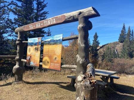 Bear attack in Banff National Park leaves two dead: Parks Canada ...