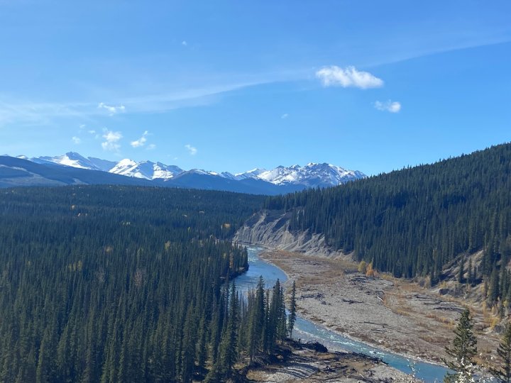Bear attack in Banff National Park leaves two dead: Parks Canada ...