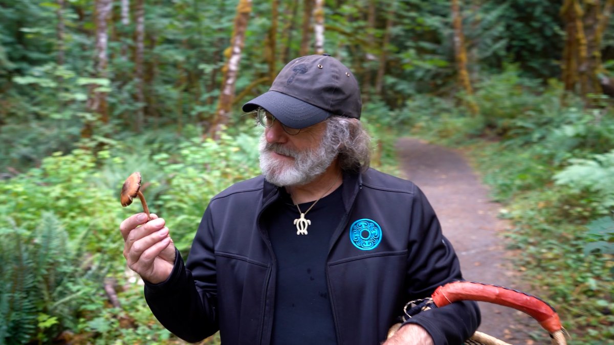 Fungi Frenzy: The new reasons to elevate mushrooms | Globalnews.ca