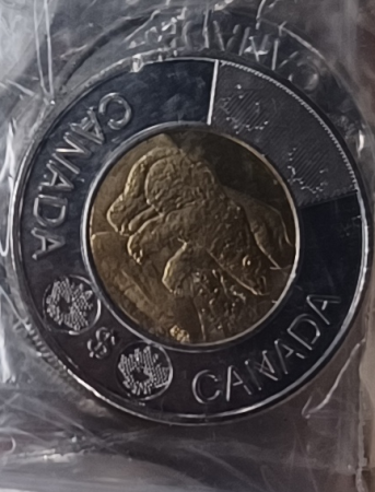 Dodgy Toonies from Quanzhou: How CBSA says it nabbed man with 26,630 ...