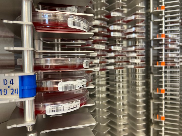 New automated system puts London, Ont. microbiology lab on the world ...