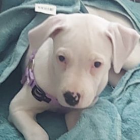 GlobalNews - Staff Personalities | Caryn Lieberman