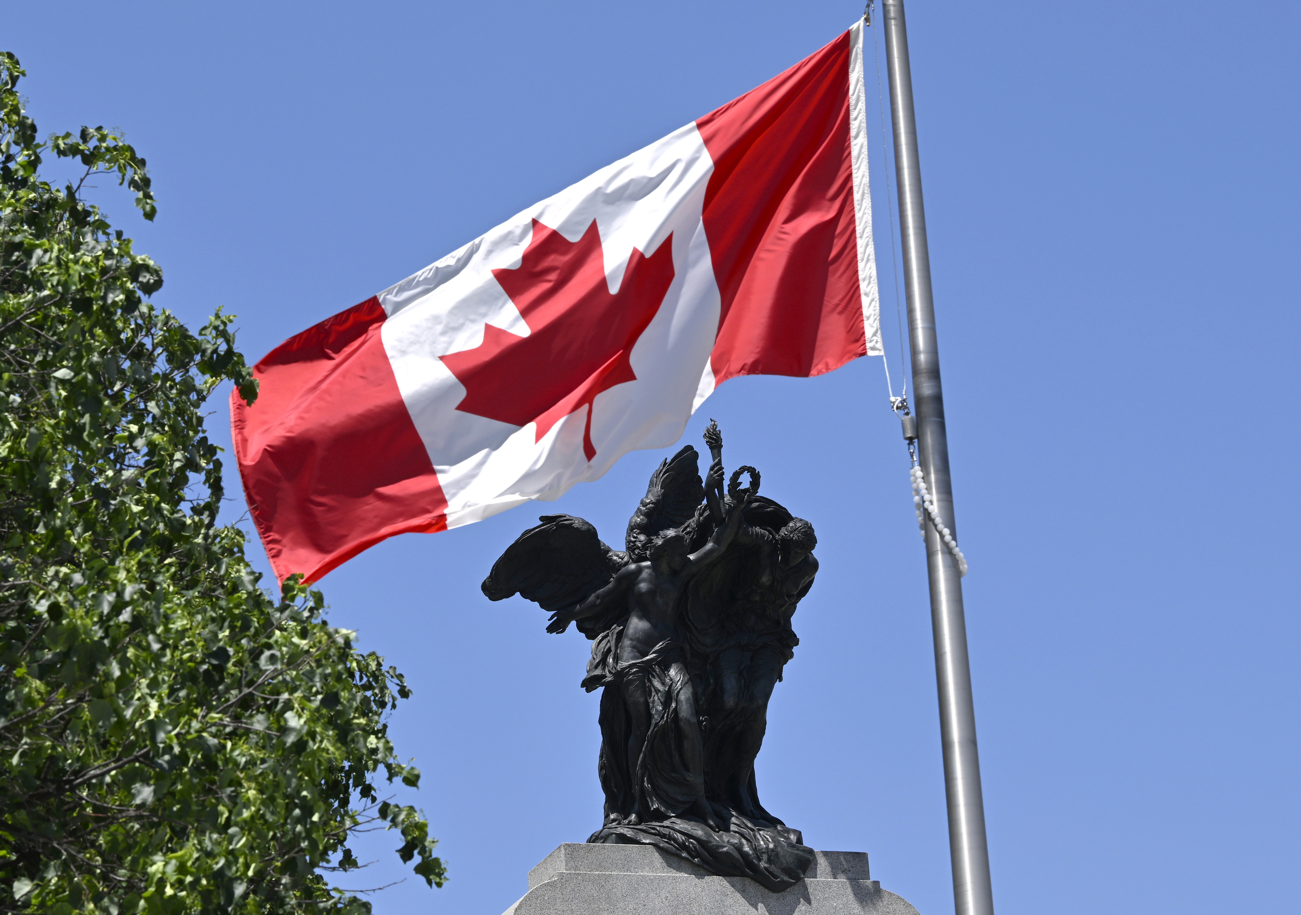 Canadian military veterans keen to keep history alive as their numbers ...