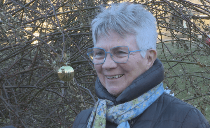 ‘Little extra joy in the woods’: Fredericton residents decorate public ...