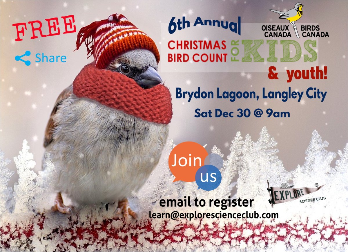 6th Christmas Bird Count for Kids & Youth - GlobalNews Events