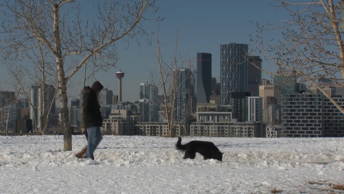 Snowfall warning lifted for Calgary, drivers reminded to be cautious ...