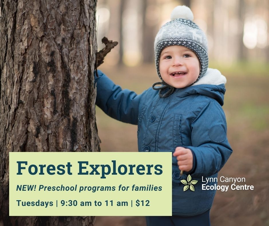 Forest Explorers – Preschool Program at the Ecology Centre - GlobalNews ...