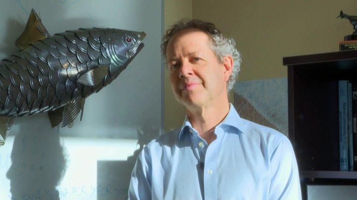 Rise in fishing-related shark deaths worldwide despite more anti ...