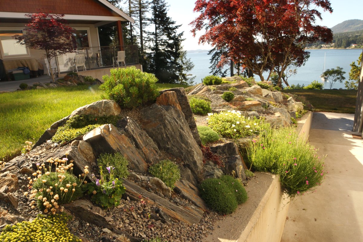MGAA: Cracks and Crevices. The Art of Rock and Crevice Gardening with ...
