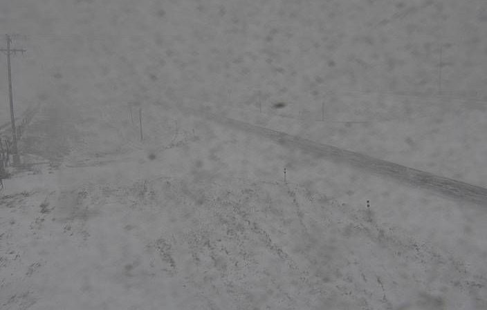 White-out conditions cause multi-vehicle collision on Trans-Canada west ...