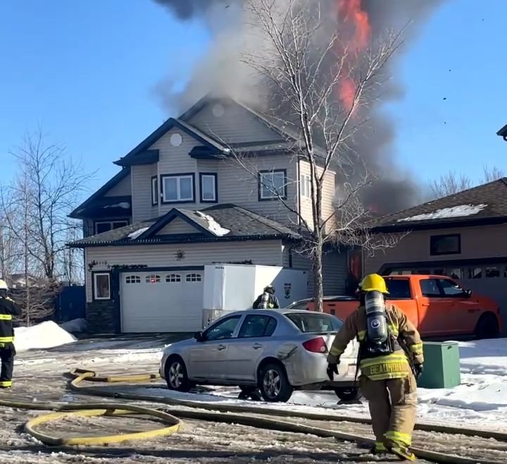 Beaumont family loses longtime home, several prized Bengal cats to fire ...