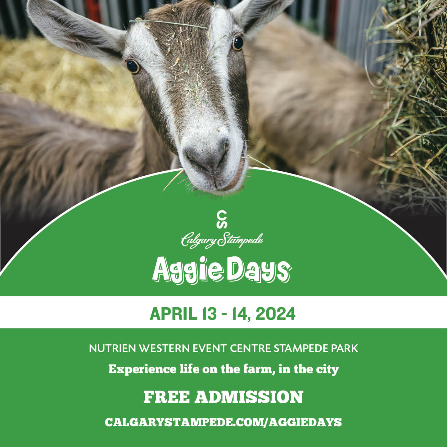 2024 Calgary Stampede Aggie Days - GlobalNews Events