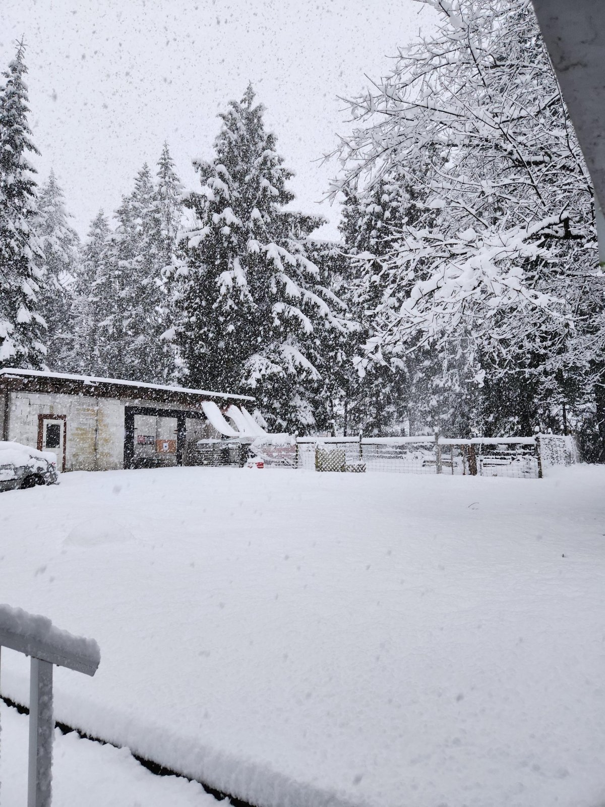 Snow forces school closures, power outages for Sunshine Coast on Monday ...