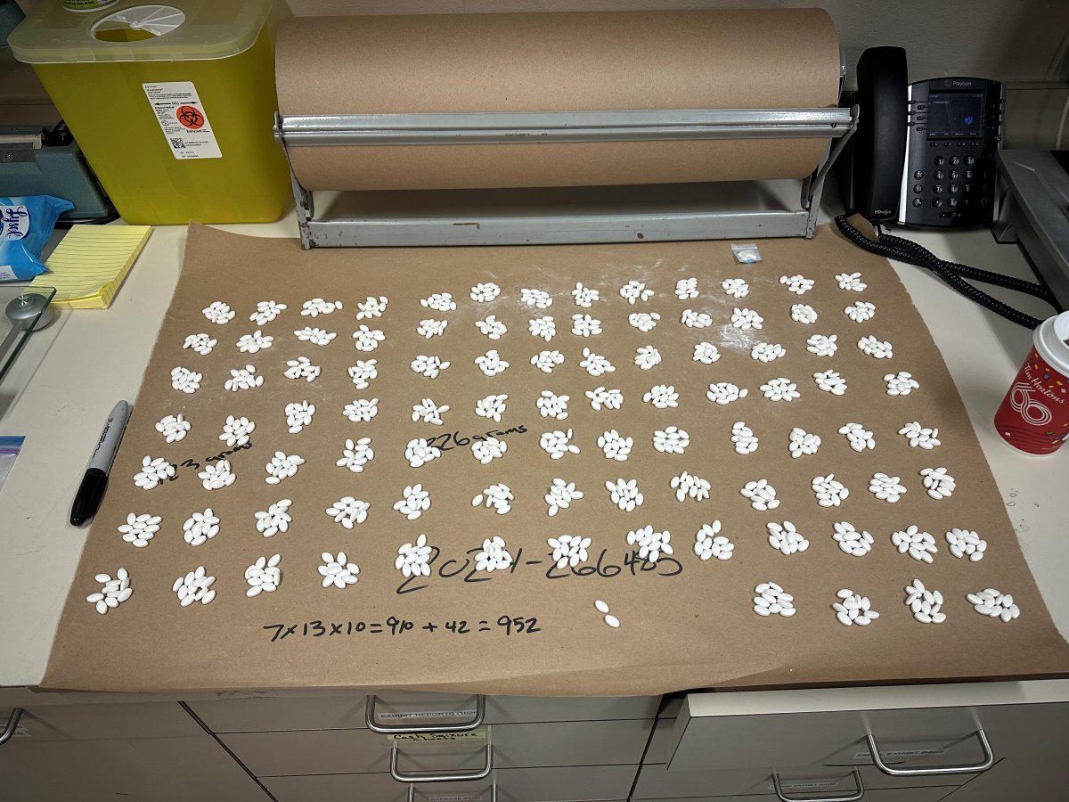 Naloxone-resistant street drug linked to 9 deaths in Eastern Canada ...