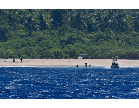 Castaways rescued from deserted island by writing ‘HELP’ in palm leaves ...