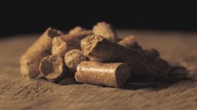 GlobalNews - Staff Personalities | Alissa Thibault