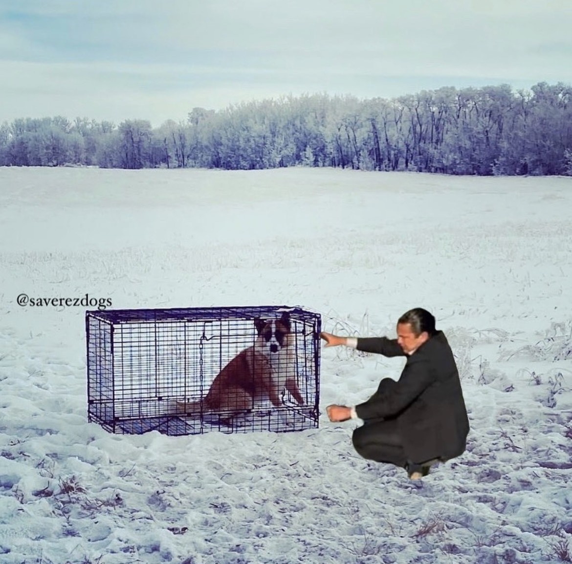 Pre-MEME-ier: Kinew’s tire change photo becomes internet sensation ...