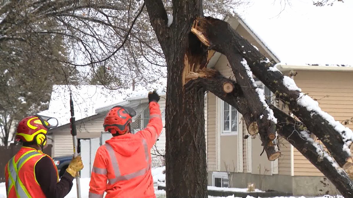 Heavy snowfall warning issued as southern Alberta digs out from earlier ...