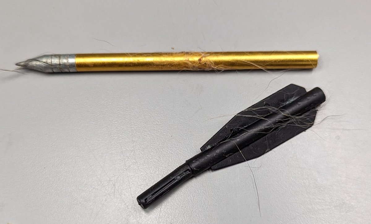 Cat, opossum impaled by arrows in Hamilton prompts police probe ...