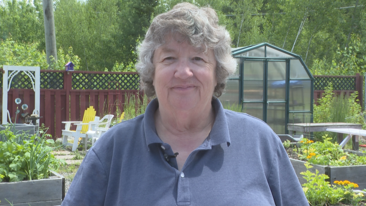 Demand for summer meal programs for students increasing at N.B. food ...