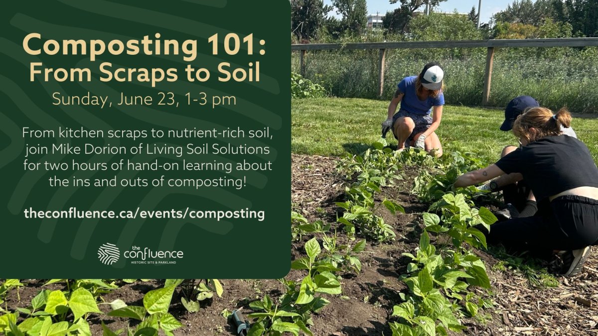 Composting 101: From Scraps to Soil - GlobalNews Events