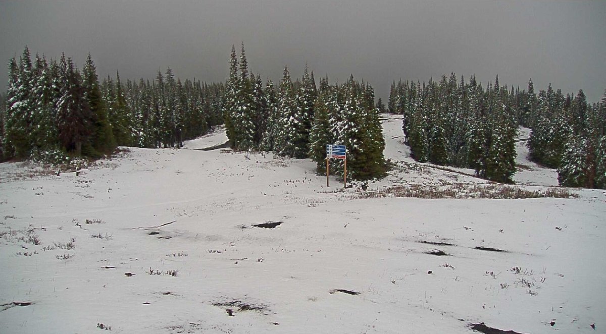 Snow falls on B.C. Interior mountain passes and local ski hills ...