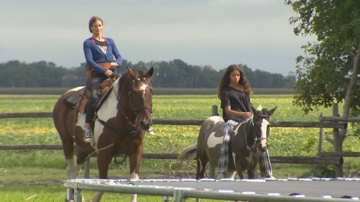 Manitoba jockey paralyzed in accident back in the saddle - Winnipeg ...