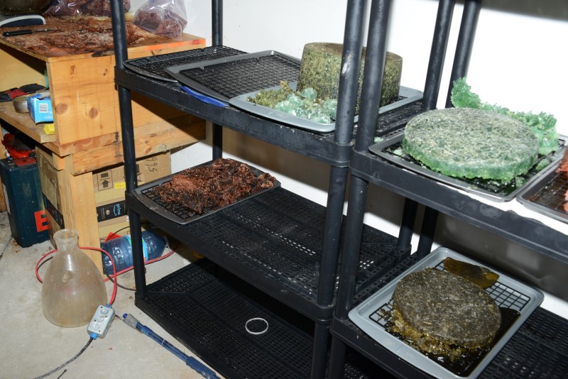 5 charged after RCMP bust Metro Vancouver drug ‘superlab’ - BC ...