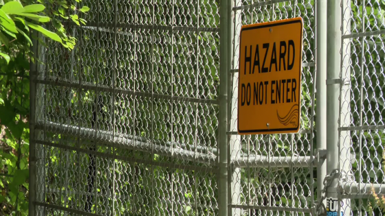 White Rock | News, Videos & Articles