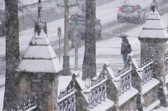Bathurst, NB Weather | Forecast Conditions - Weather Predictions & Radar