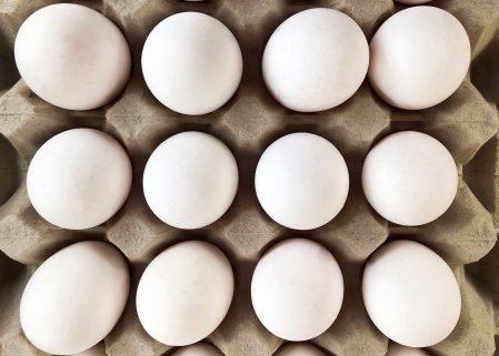 Egg smuggling rises at U.S. borders as bird flu drives up prices ...