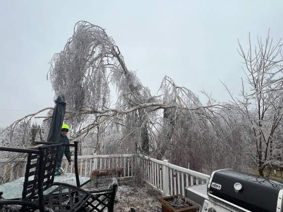 Kitchener, ON Weather | Forecast Conditions - Weather Predictions & Radar