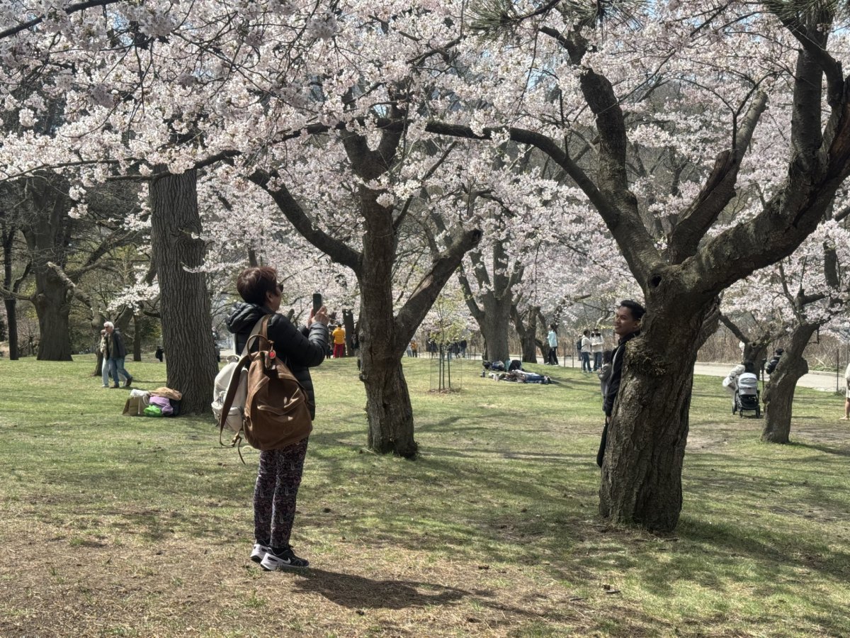 Here S The Best Time To See The Cherry Blossoms At Toronto S High Park