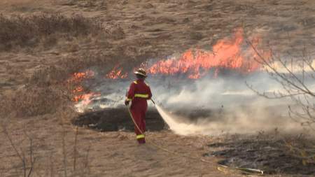 Firefighters scramble to contain large grass fire near the Calgary zoo ...