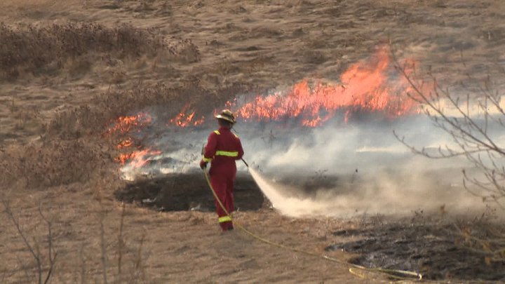 Firefighters scramble to contain large grass fire near the Calgary zoo ...