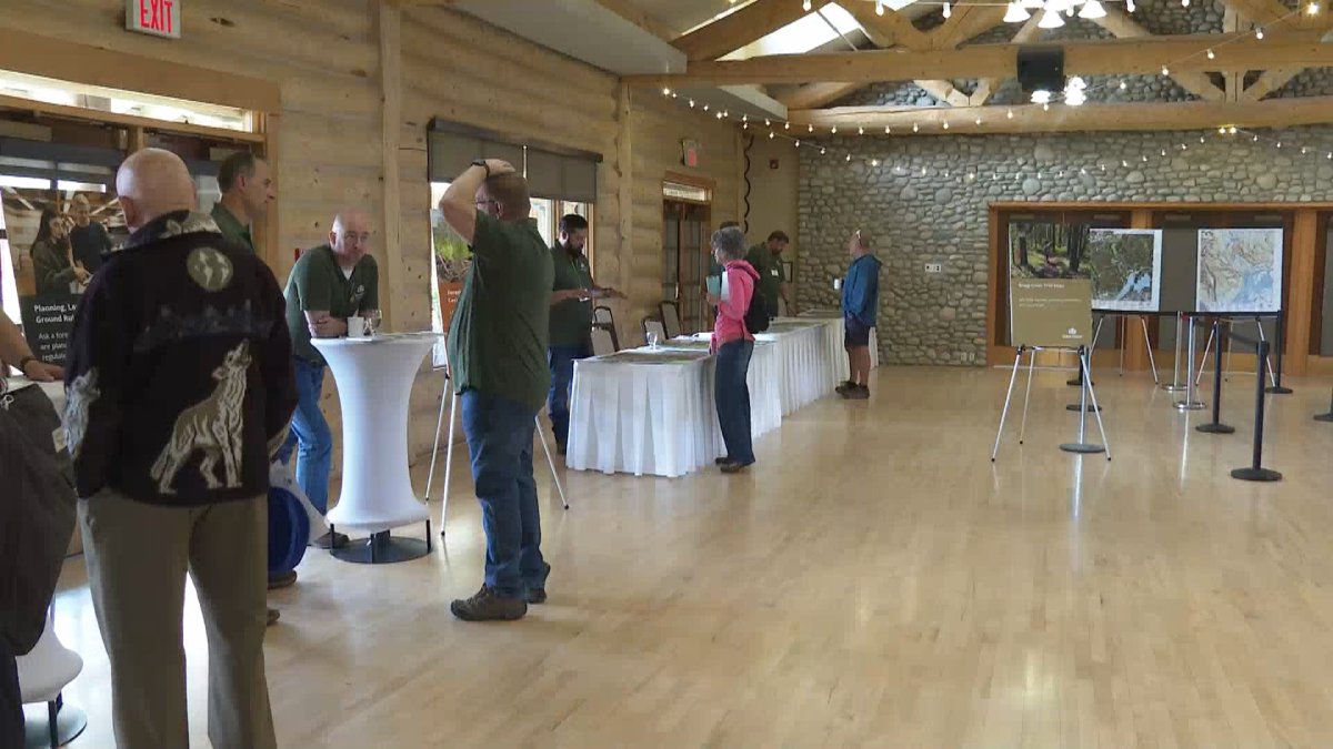 Logging plans near Bragg Creek scaled back, but many trail users still ...
