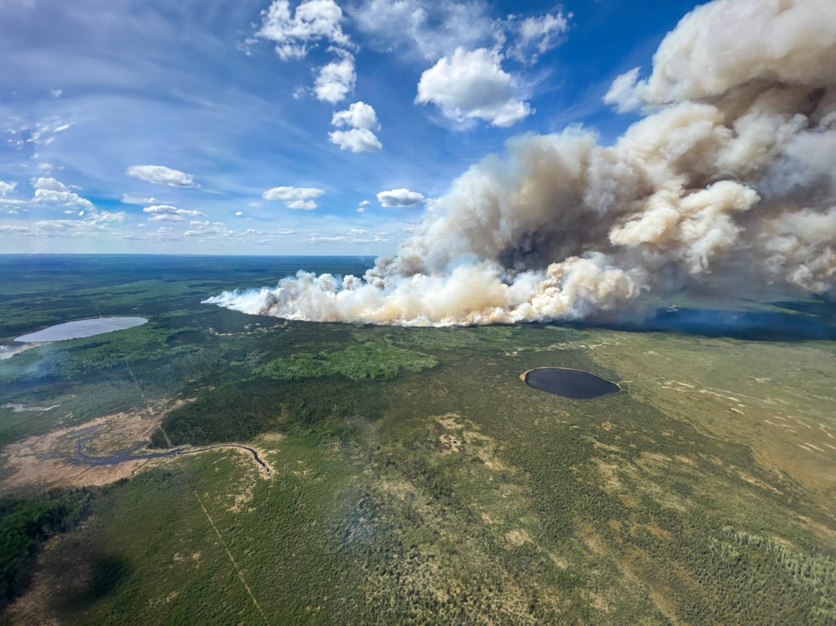 U.S. weather presenter’s coverage of Canadian wildfires has intensified ...