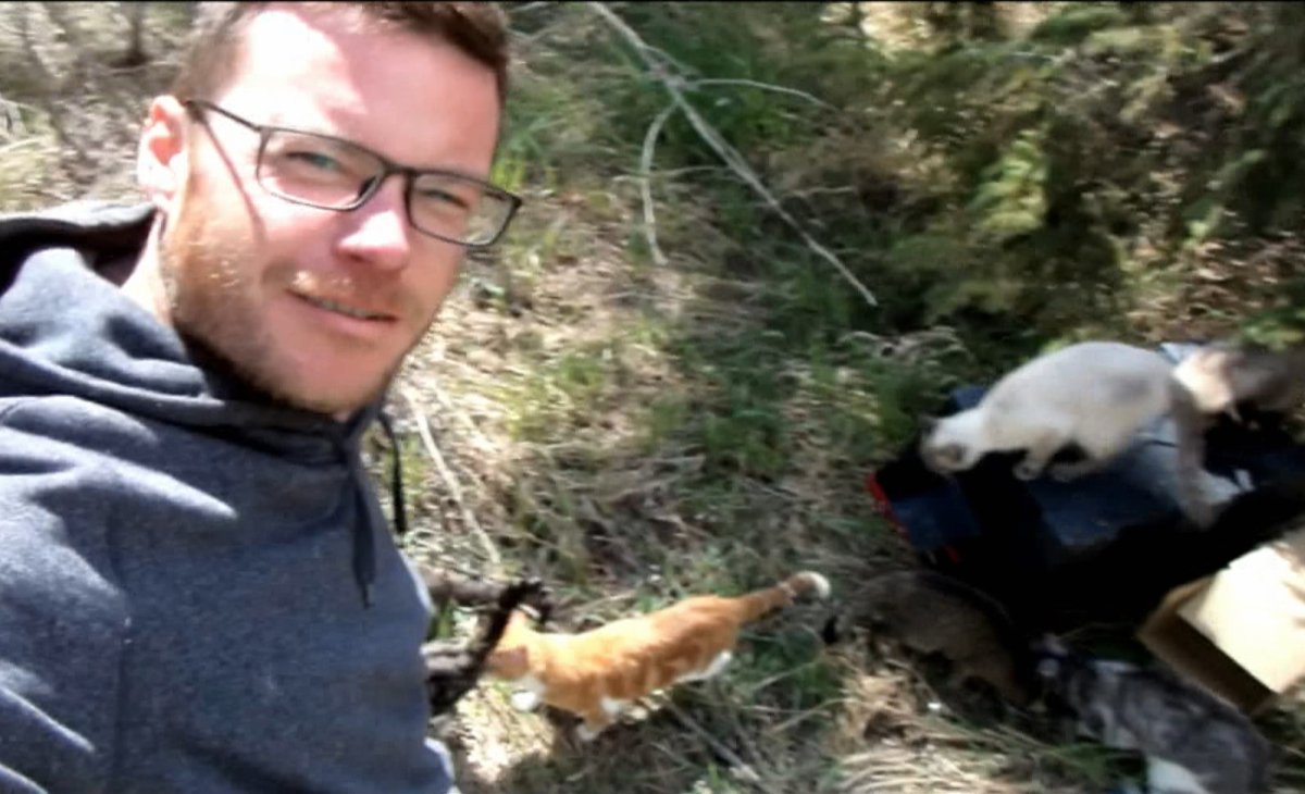 Nearly 2 dozen abandoned cats rescued near Dickson Dam in central ...