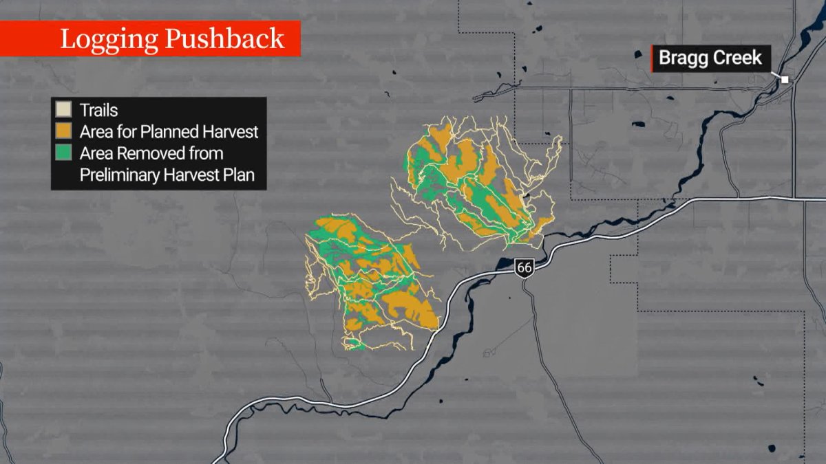 Logging plans near Bragg Creek scaled back, but many trail users still ...