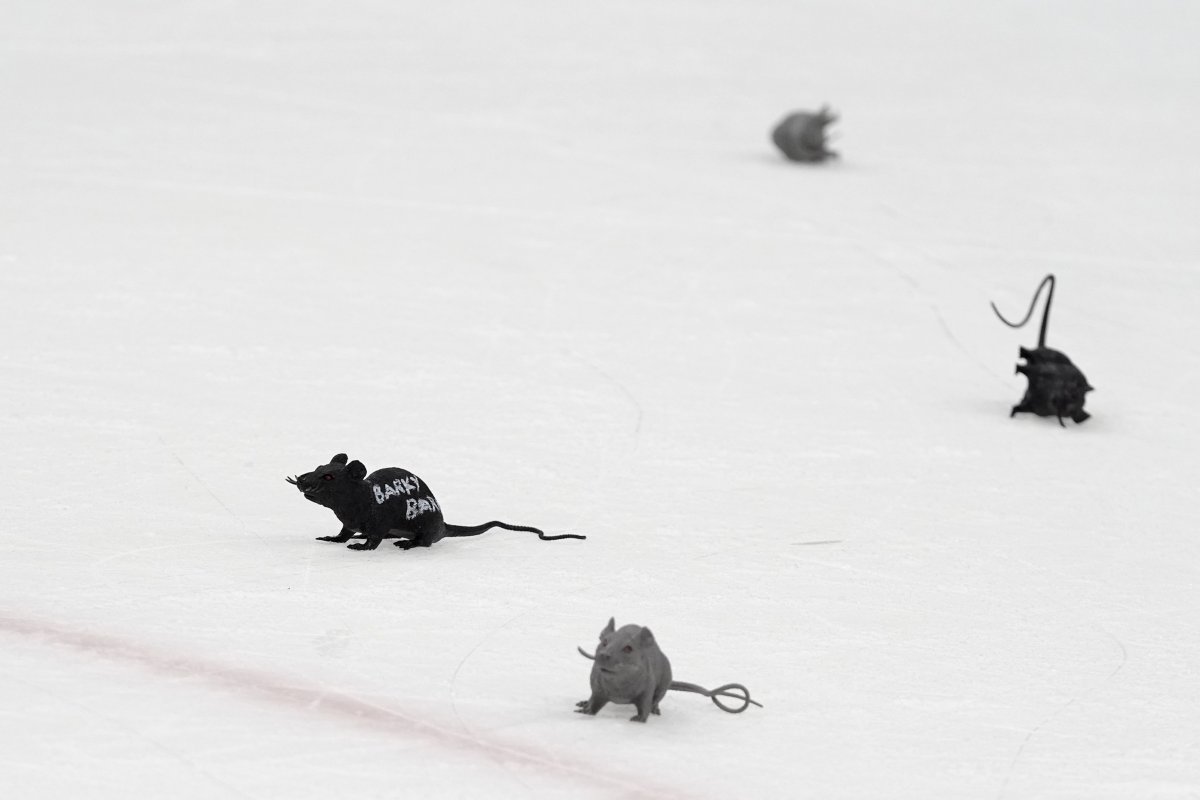 Stanley Cup final: Marchand embraces Florida Panthers’ rat-throwing ...