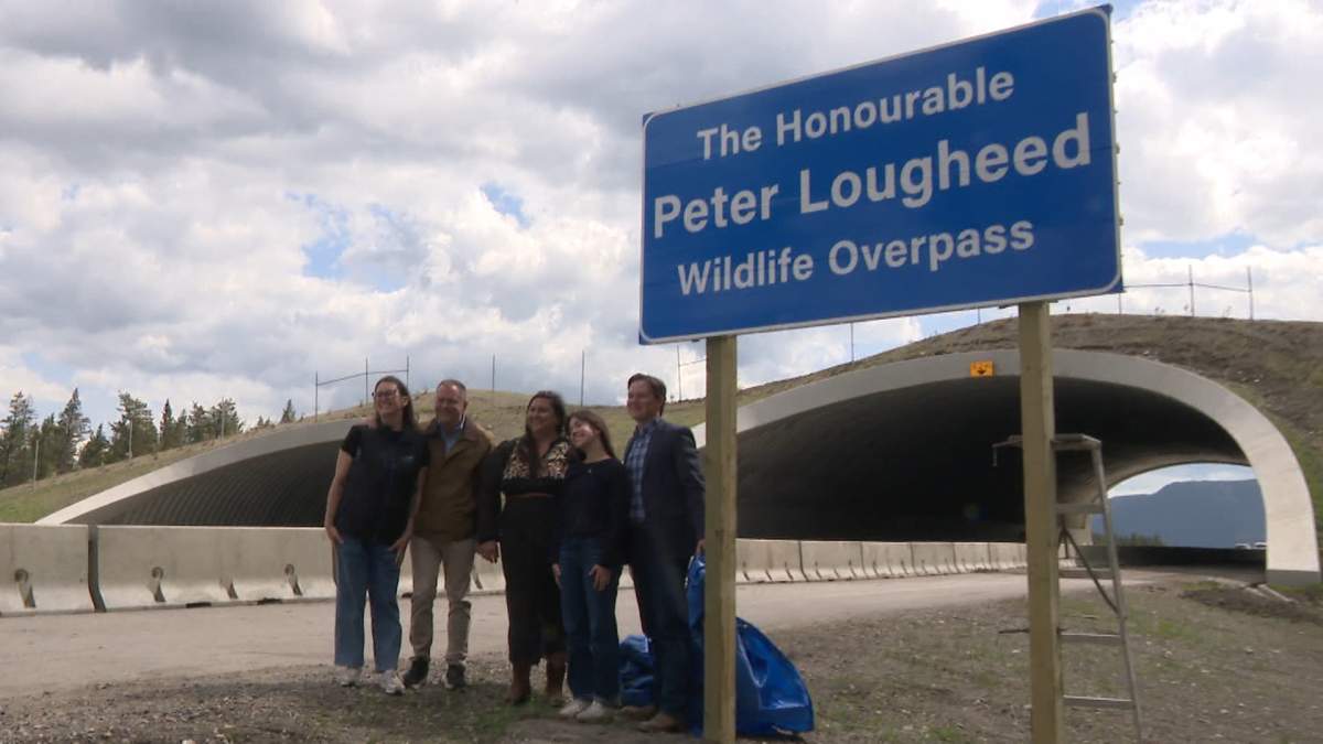 New wildlife overpass in Kananaskis Country named after former Alberta ...