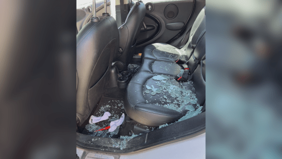 GlobalNews - Staff Personalities | Victoria Femia