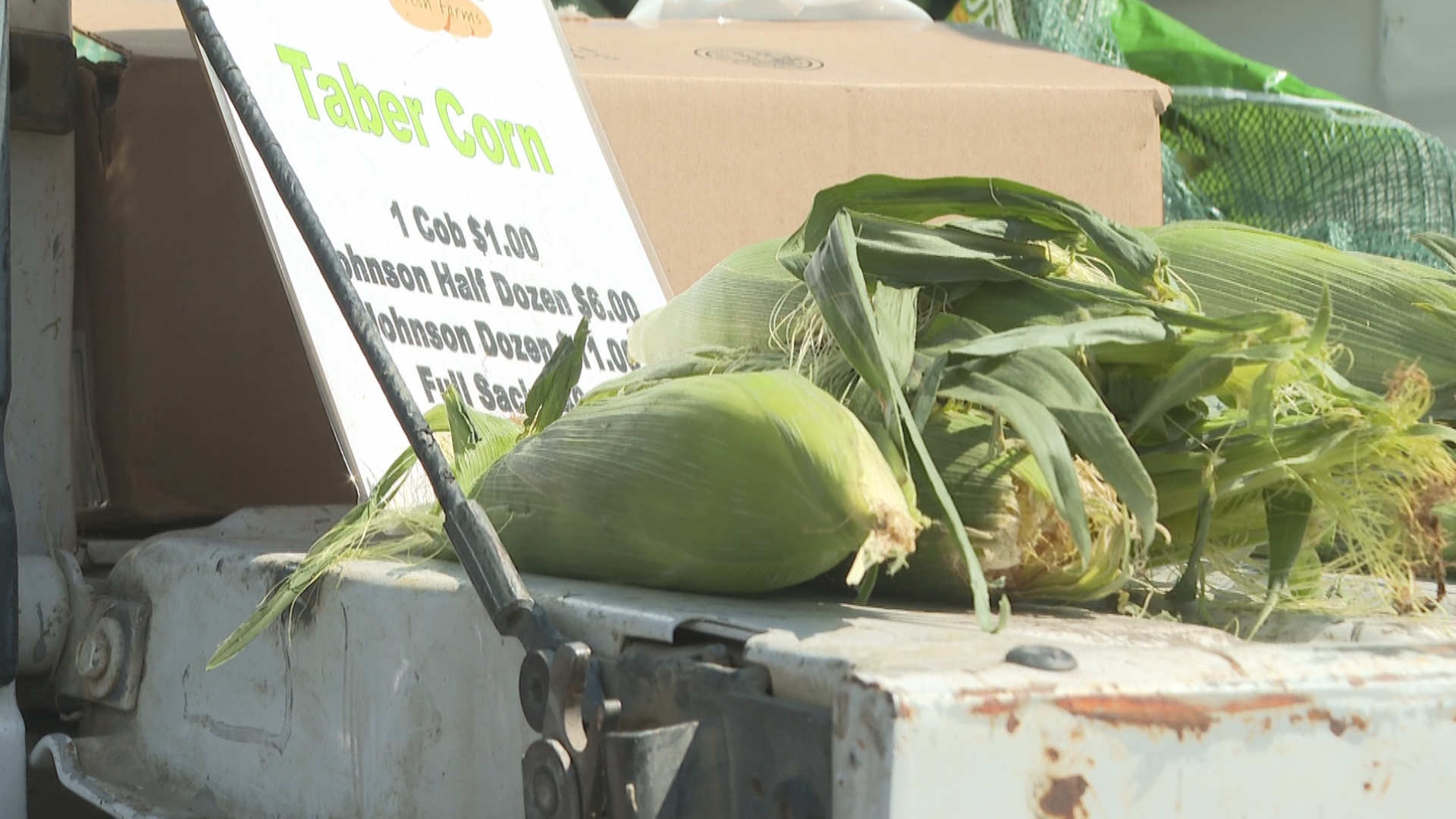 Edmonton Weather | Forecast Conditions - Weather Predictions & Radar