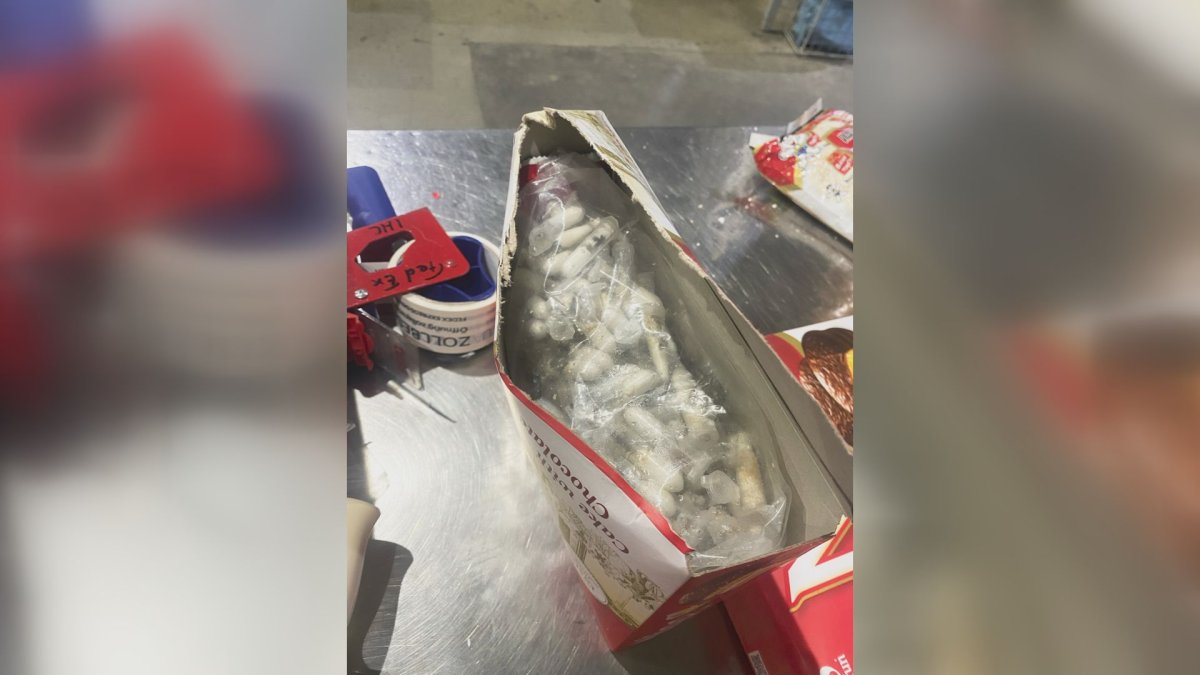 Over 1,400 tarantulas found hidden in cake boxes in German smuggling ...