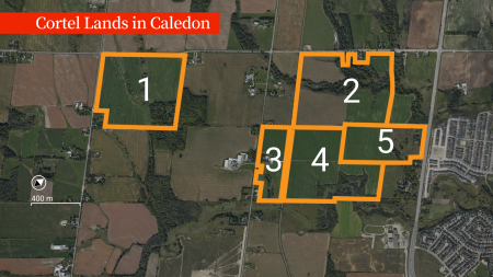 Ford government considered ‘developer-proposed’ Hwy. 413 route ...