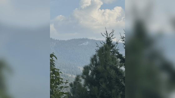 GlobalNews - Staff Personalities | Victoria Femia