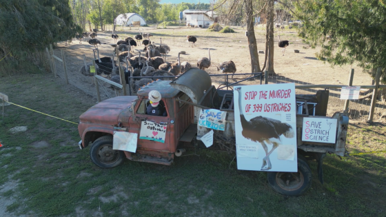 GlobalNews - Staff Personalities | Victoria Femia