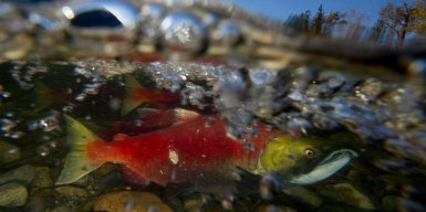 Tucker & Maura | 102.1 the Edge