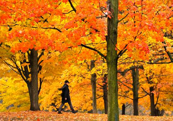 Charlottetown, PE Weather | Forecast Conditions - Weather Predictions ...